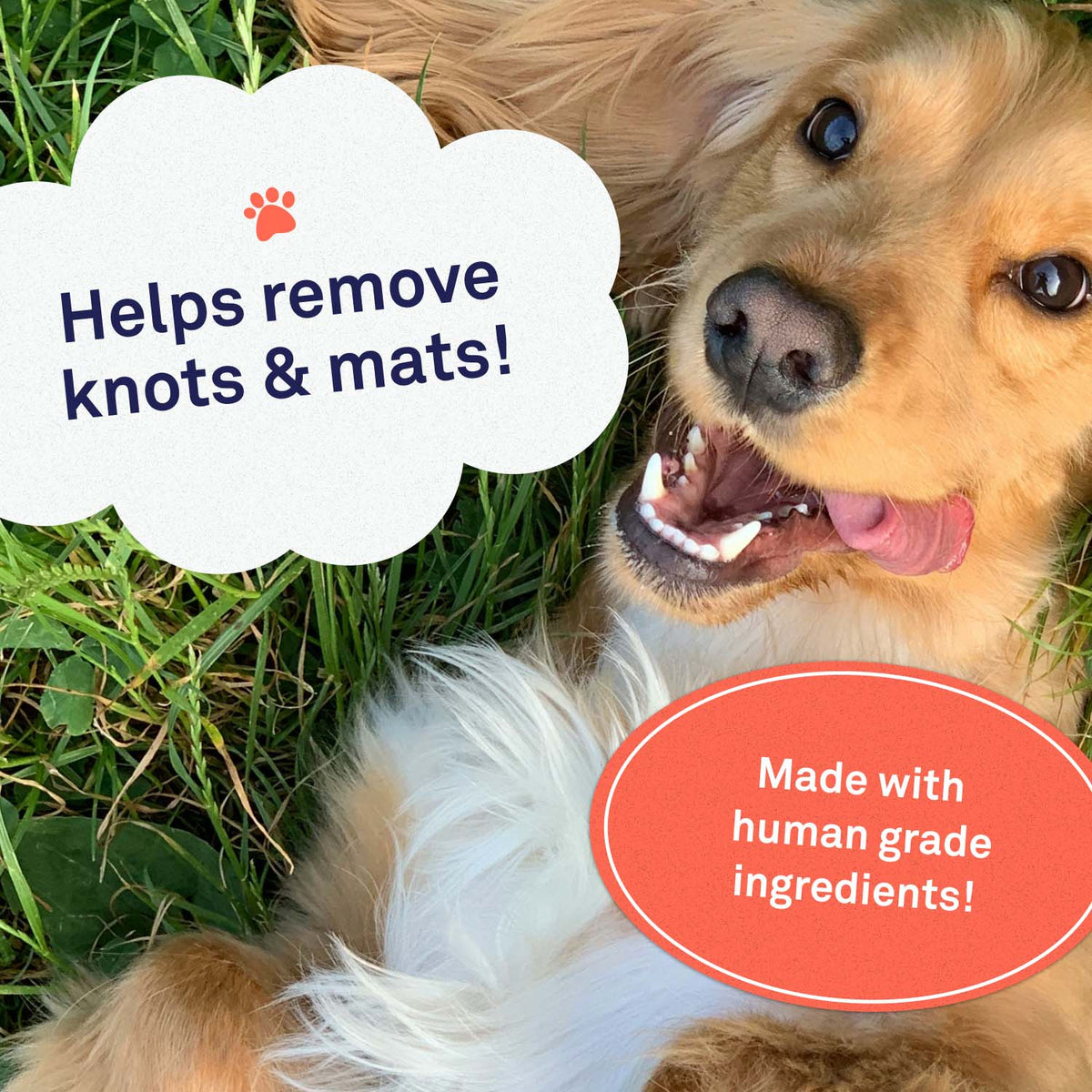 Detangling Spray for Dogs | Lubricates and Removes Knots and Tangles ...