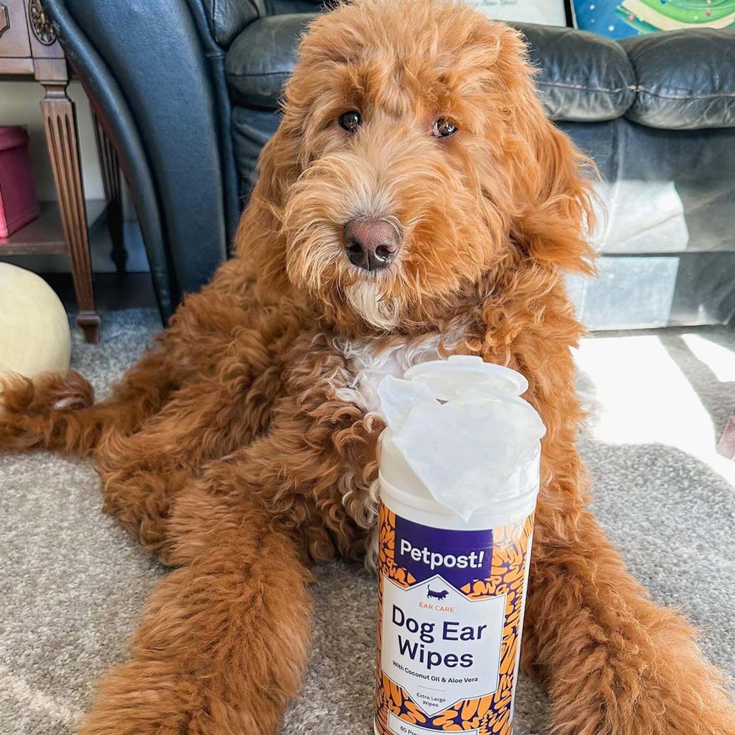 XL Dog Ear Wipes | Best Dog Ear Cleaning Solution | Petpost™