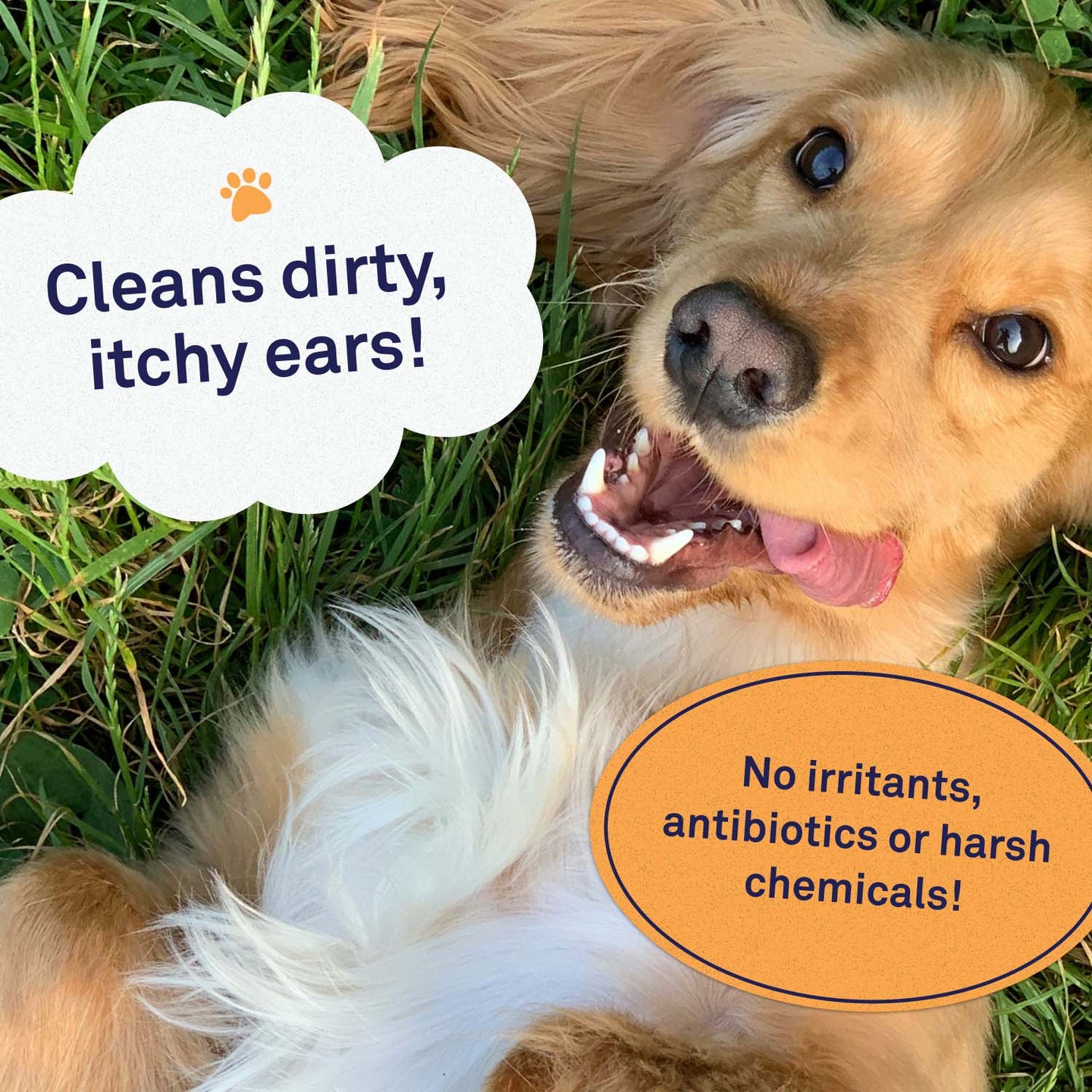 Dog Ear Wipes | Best Dog Ear Cleaning Solution | Petpost™