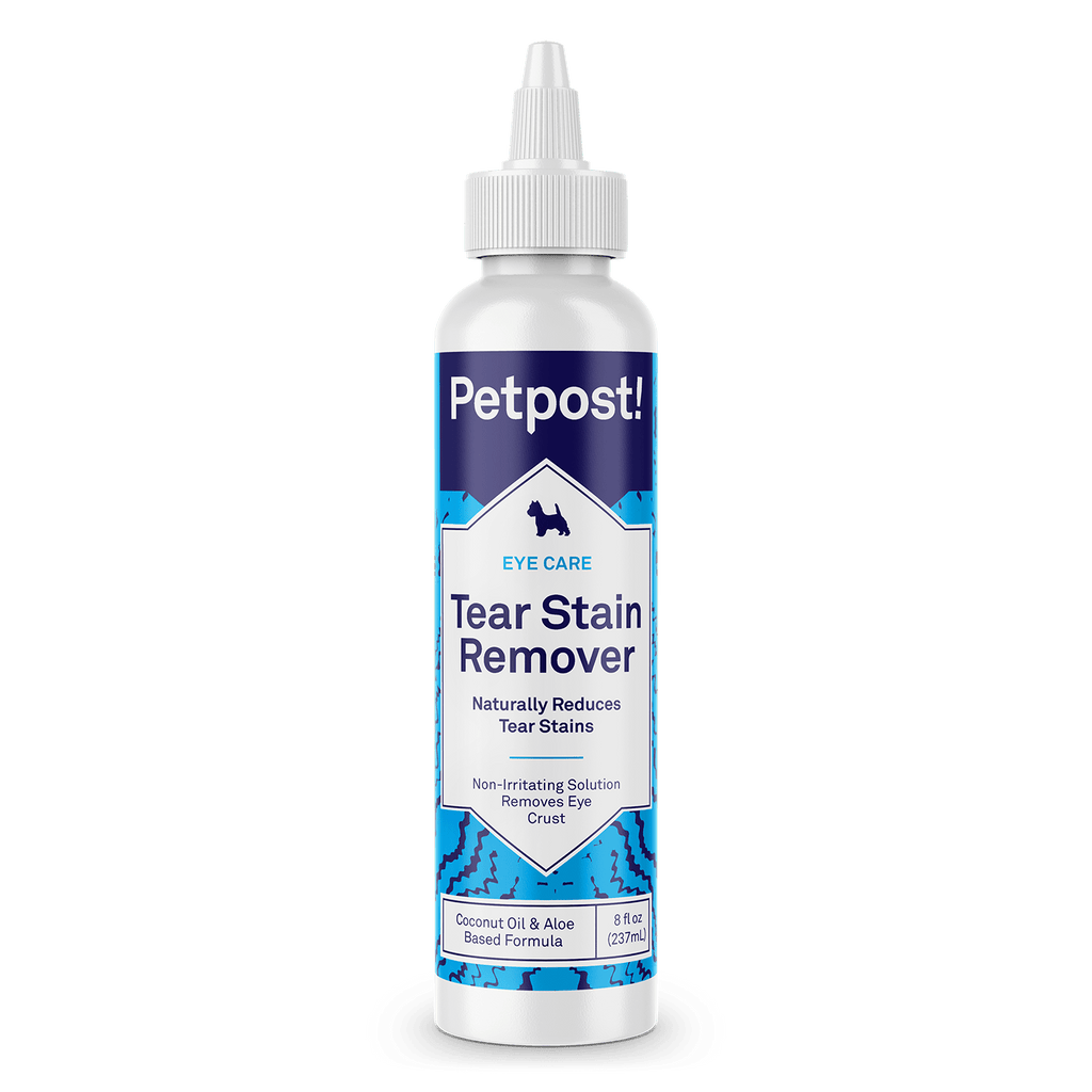 Tear Stain Remover | Best Tear Stains Solution for Maltese | Petpost™