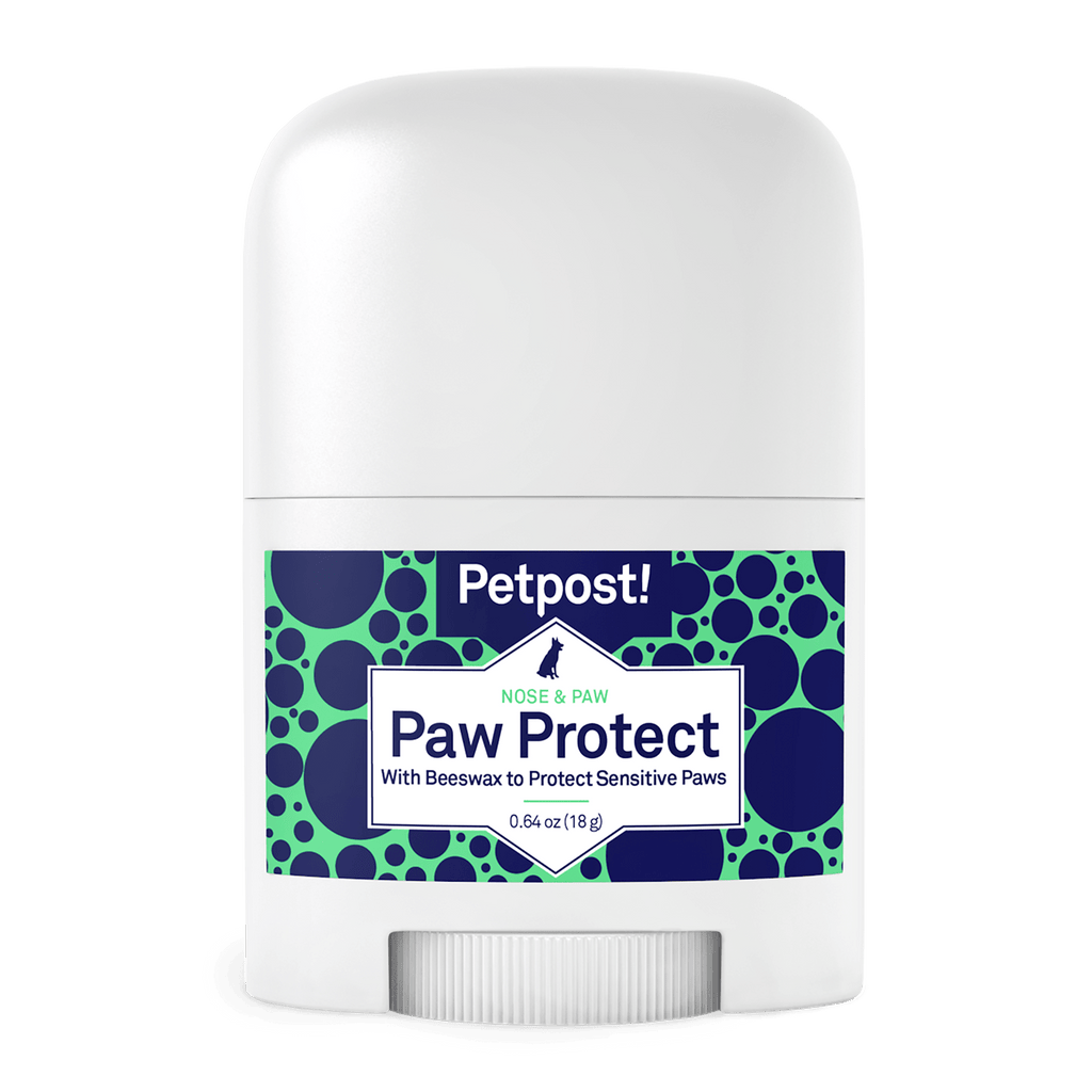 Paw Wipes for Dogs | Relief for Dry, Sore, Itchy Paws | Petpost™