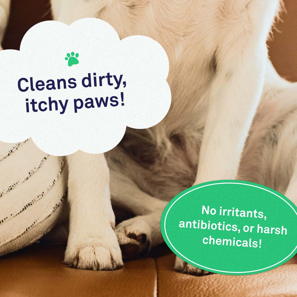 Paw Wipes for Dogs | Relief for Dry, Sore, Itchy Paws | Petpost™