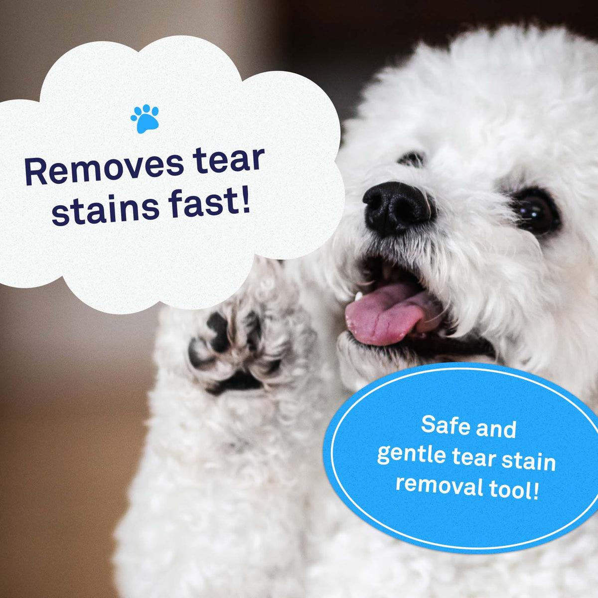 Dog Tear Stain Remover Comb | For White Dogs with Eye Crust | Petpost™