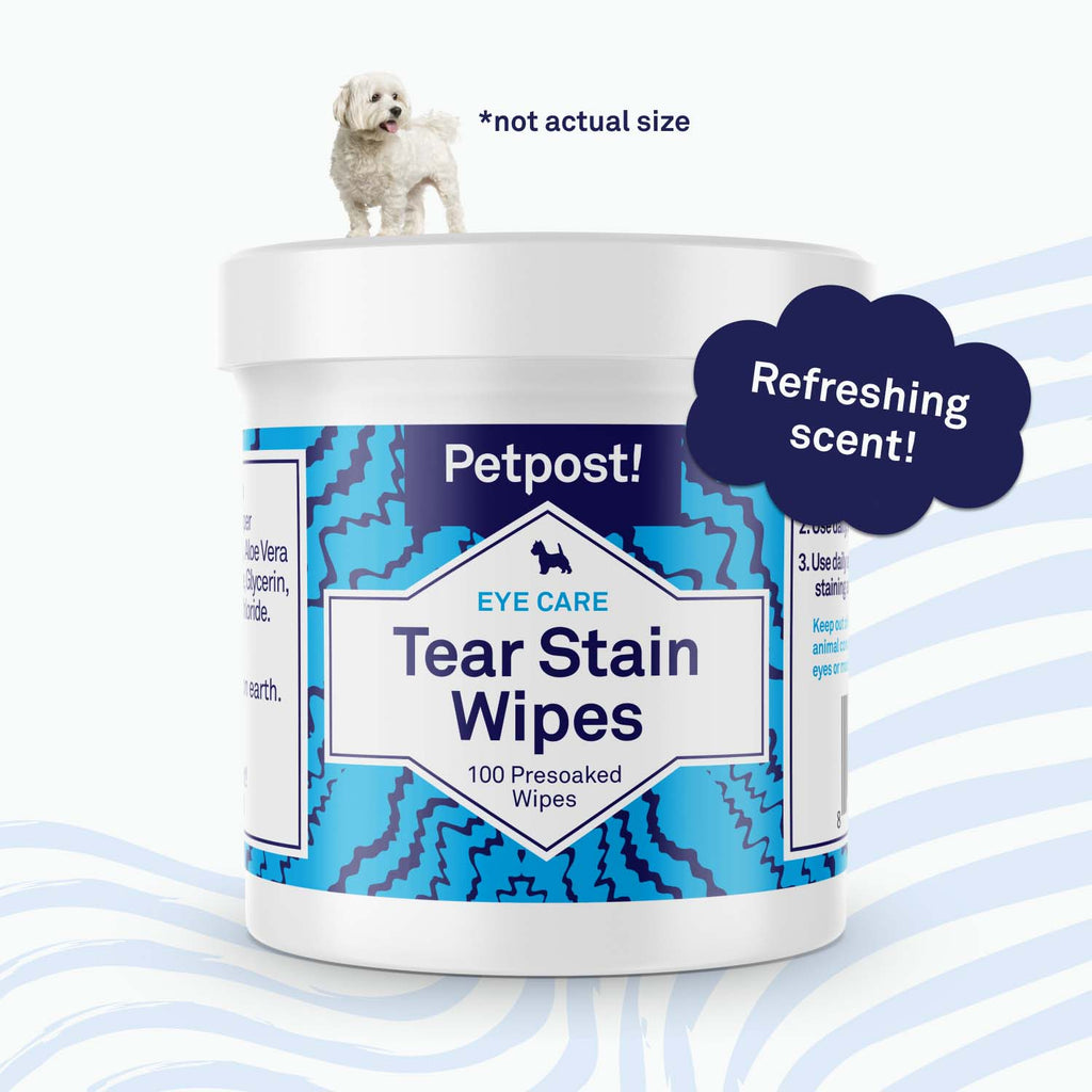 Tear Stain Remover | Best Tear Stains Solution for Maltese | Petpost™