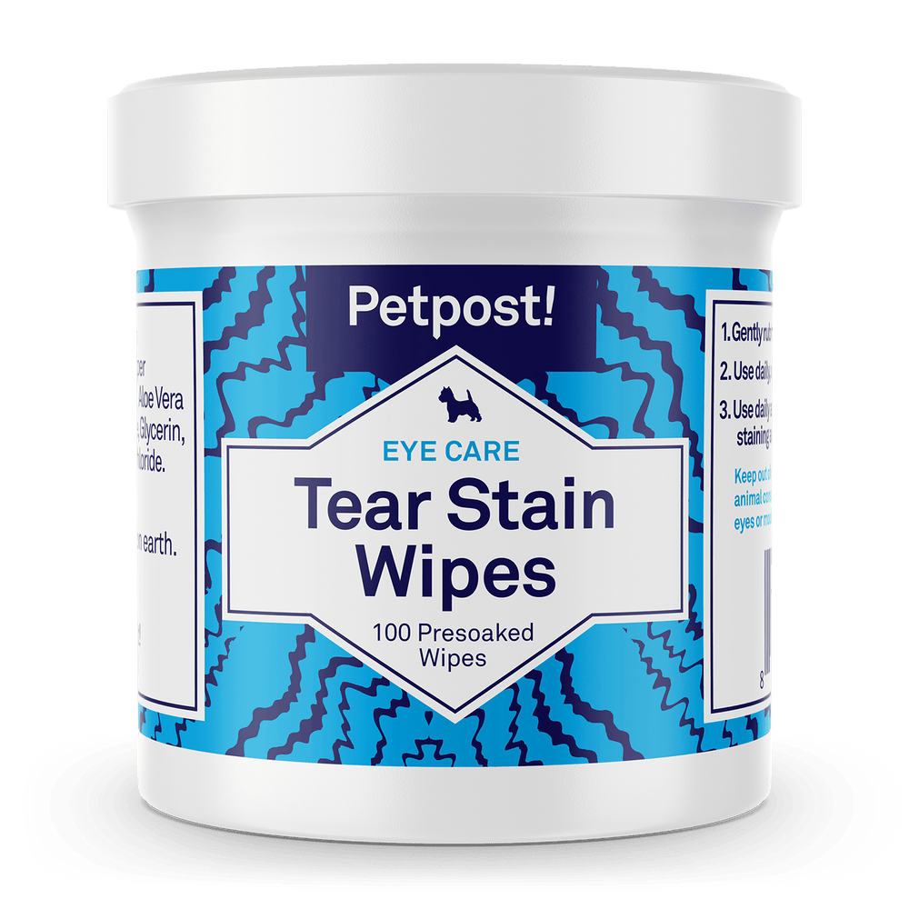 How to Remove Tear Stains: The Natural Way | Petpost | Petpost™
