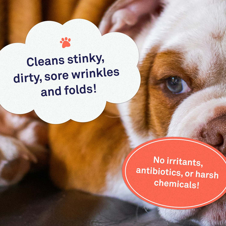 XL Bulldog Wrinkle Wipes | Best Relief for Sore Dog Skin | Petpost™
